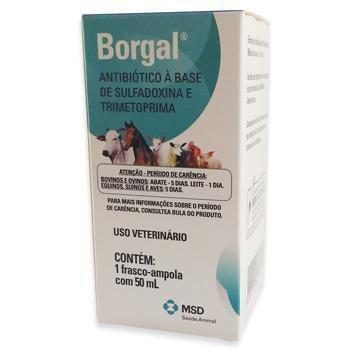 Borgal 50mL - MSD - Farmácia Pet - Magazine Luiza