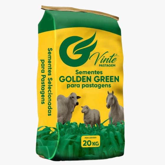 Brachiaria Humidicola Capim Quicuio 5 Kg Sementes - ouro verde ...