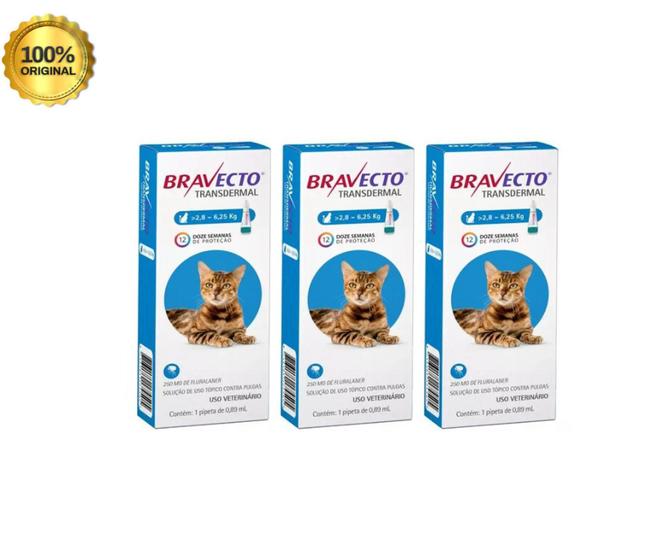 Bravecto Antipulgas e Carrapatos Transdermal para Gatos 2,8 a 6,25 kg 250 mg kit com 3 - MSD ...