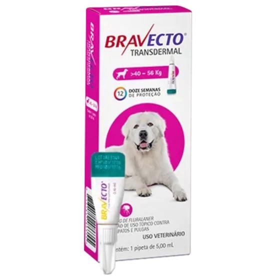 Bravecto Transdermal Antipulgas e Carrapatos MSD para Cães 20 a 40kg - Antipulga e Carrapaticida ...