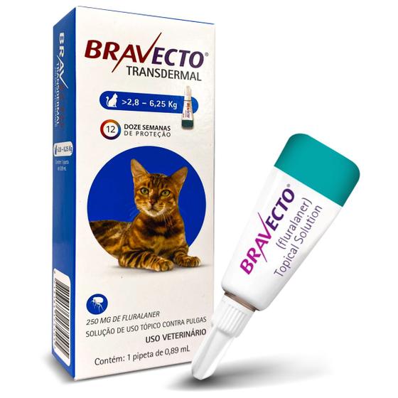 Bravecto Transdermal Gatos anti Pulgas 2,8/6,25kg - Msd - Antipulga e Carrapaticida - Magazine Luiza