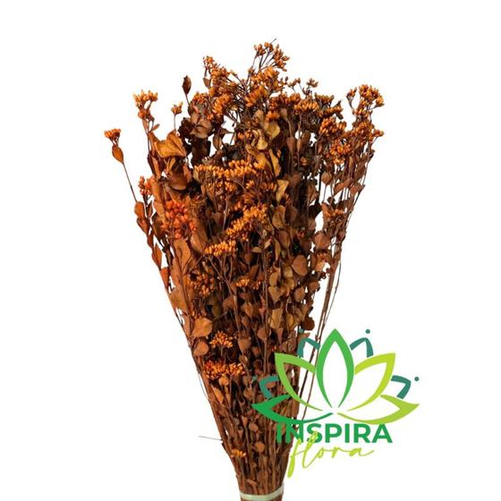 Buque Flor Chuvisco Natural Desidratada Buque Flores Secas - Flora Full ...