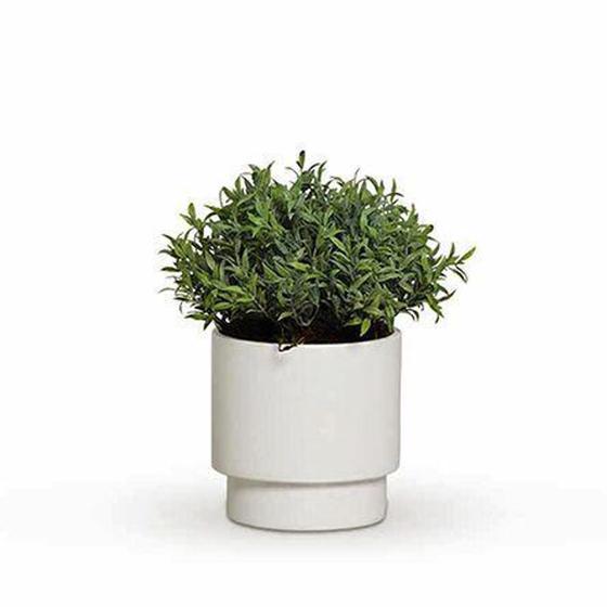 Cachepot Em Cerâmica Charme Off White Fosco 12 Cm - 2A Cerâmica ...