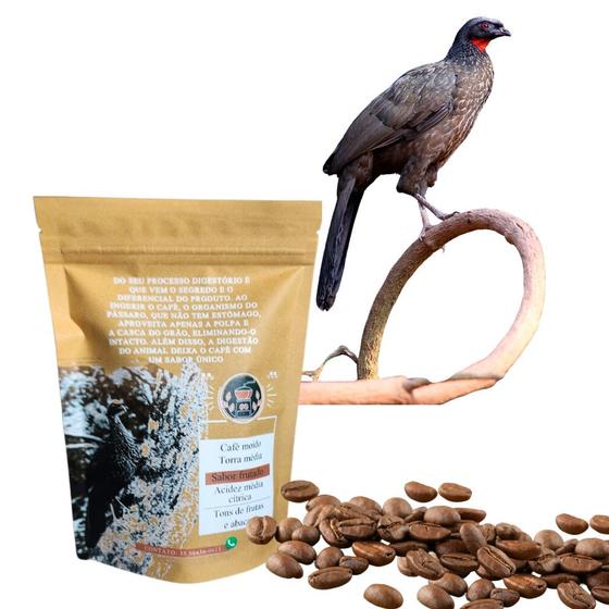 Café da Ave Pássaro Jacu Bird 150 Gramas em Grãos Torra Média - CAFE ...