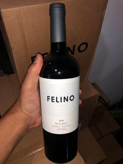 caixa de vinho 6 garrafas Felino Malbec 750ml Kit argentino tinto meio ...