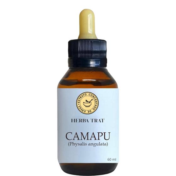 Camapu (physalis angulata) - extrato 60ml - Herba trat - Extrato de ...