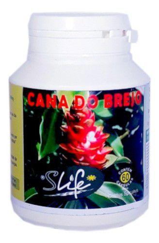 Cana Do Brejo 100% Pura Com 60 Cápsulas 500 Mg Cada - SLife ...