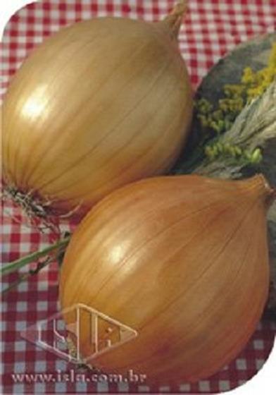 Cebola Baia Super Precoce - 50gr De Sementes - Isla - Salgadinhos e ...