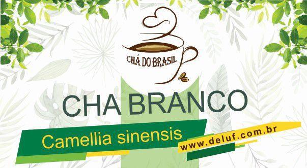 CHÁ BRANCO - 1kg - CHÁ DO BRASIL - Cha do Brasil - Chá - Magazine Luiza