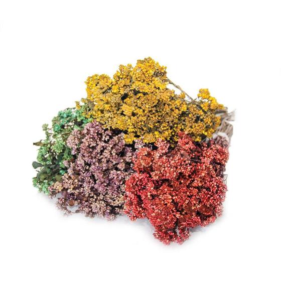 Chuvisco Flor Desidratada Buque Flores Secas - Tem Flores - Buquê de ...