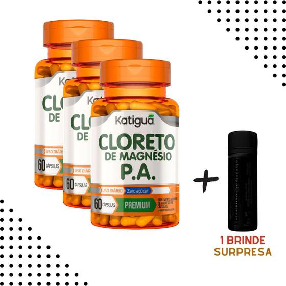 Cloreto de Magnesio PA 60Caps Dores Corpo Artrose Kit c3pts - katigua - Cloreto de Magnésio ...