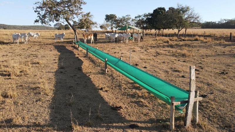 Cocho bag para bovinos- 10 metros - original - COCHOBAG - Outros Pets ...