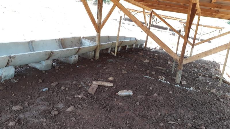 Cocho para confinamento de bovino - Rutzen - Outros Pets - Magazine Luiza