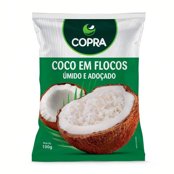 Coco Ralado em Flocos Copra Úmido e Adoçado 100g - Coco Ralado ...