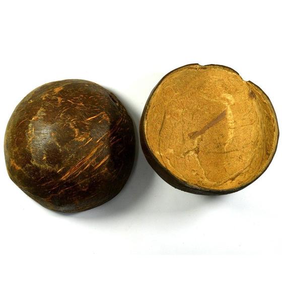 Coité de Coco Sem Base - Nova Zé - Cimento Odontológico - Magazine Luiza