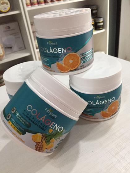 Colágeno hidrolisado com zinco e vitaminas 158g - Fitoplant - Colágeno ...