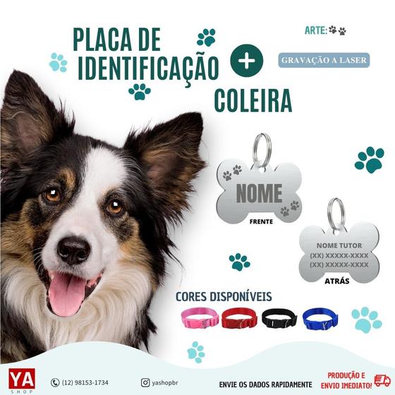 Coleira + Placa Tag Identificação Pet Plaquinha Pingente Personalizada ...