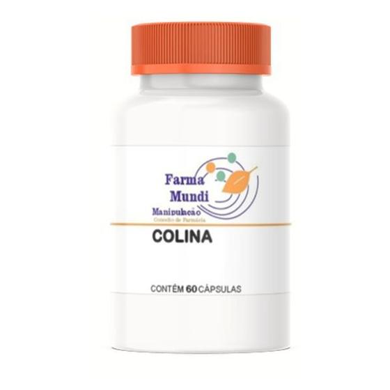 Colina 250mg . Melhora A Memória 60 Cápsulas - Farma mundi ...