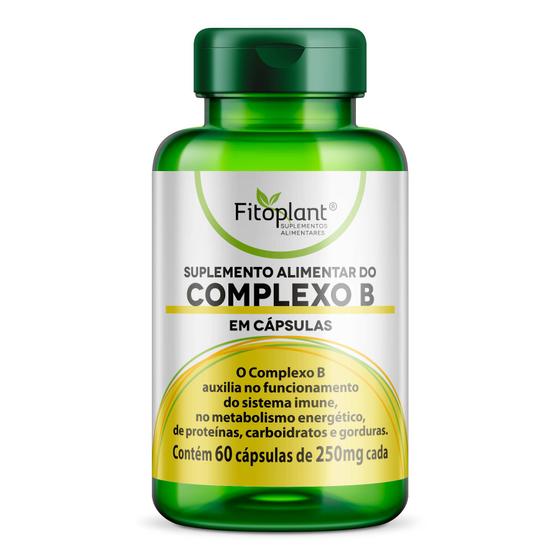 COMPLEXO B 400mg 60 caps FITOPLANT - Complexo B - Magazine Luiza