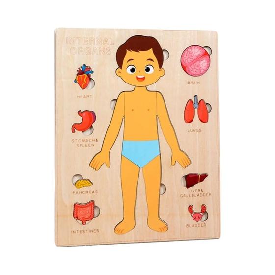 Crianças Montessori Quebra-cabeça Estrutura Humana Aprendizagem ...