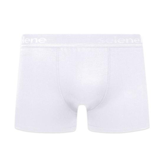 Cueca Boxer Box Masculina Adulto Modal Elástico Selene - Cueca ...