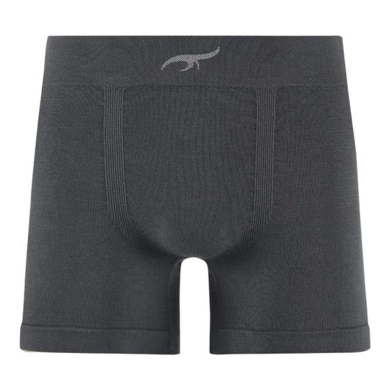 Cueca Boxer Masculina Micromodal Poliamida Respiravel Seamless - Zee ...