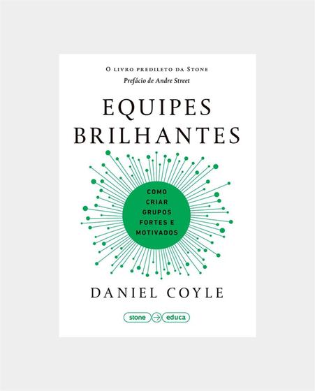 Equipes Brilhantes , Como criar grupos fortes e motivados, Livro ... Equipes Brilhantes , Como criar grupos fortes e motivados, Livro ...