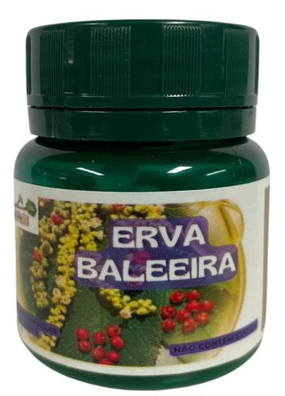 Erva Baleeira Suplemento Alimentar 30 Capsulas - Kaps Vida - Extrato de ...