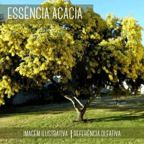 Essência Acácia - Espaço das Essências - Essência para Aromatizador ...