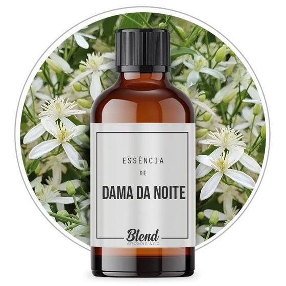 Essência de Dama da Noite - Concentrada - 30ml - Blend Aromas ...