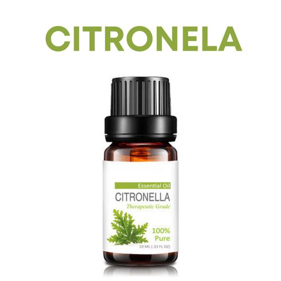 Essências Aromáticas para Difusor Umidificador Aromatizador - Cheiro ...