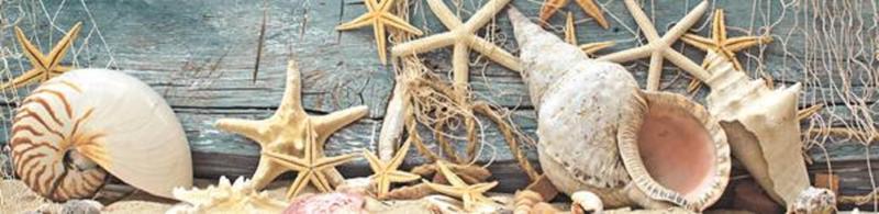 Faixa Listelo Cerâmico Decoração Marinha Kit 15 Unidades - Cerâmica ...