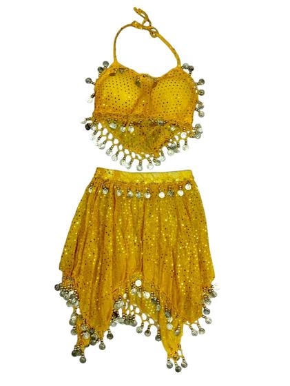 Fantasia Odalisca Dançarina do Ventre Cigana Saia C/ Moedas Carnaval ...