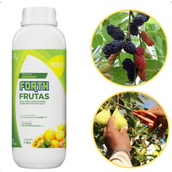 Fertilizante Adubo Forth Frutas 1 Litro Concentrado Rende+ ...