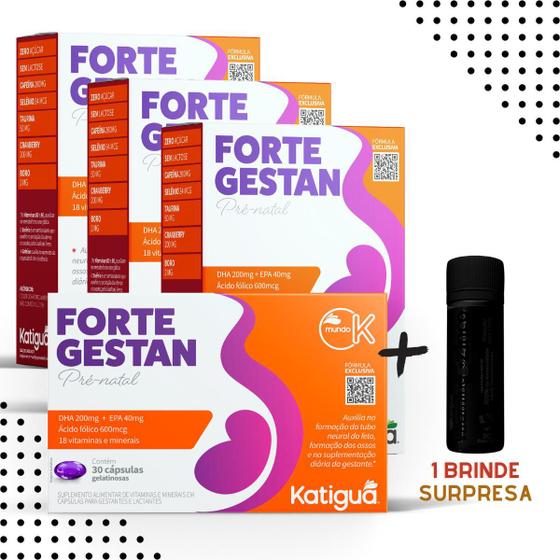 Forte Gestan 30Caps 650mg Pré Natal Gestação Kit c3pts - Katigua - Pré ...