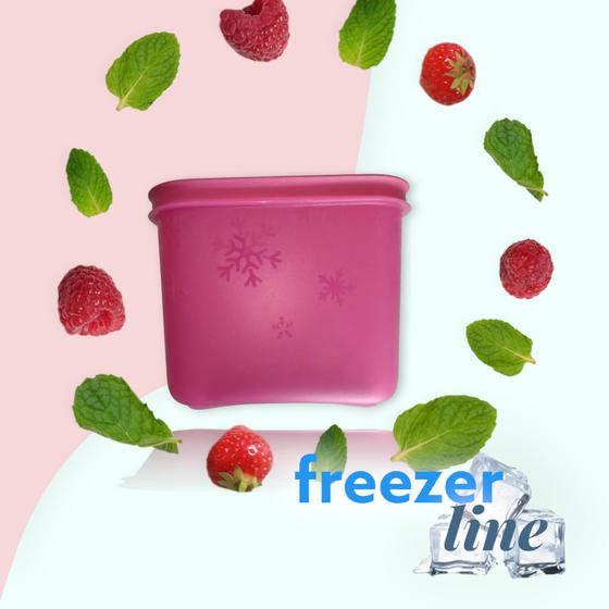 Freezer Line 1,1 Litro-tupperware - Pote - Magazine Luiza
