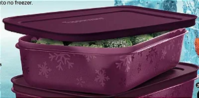 Freezer Line 1L Roxo - TUPPERWARE - Pote - Magazine Luiza