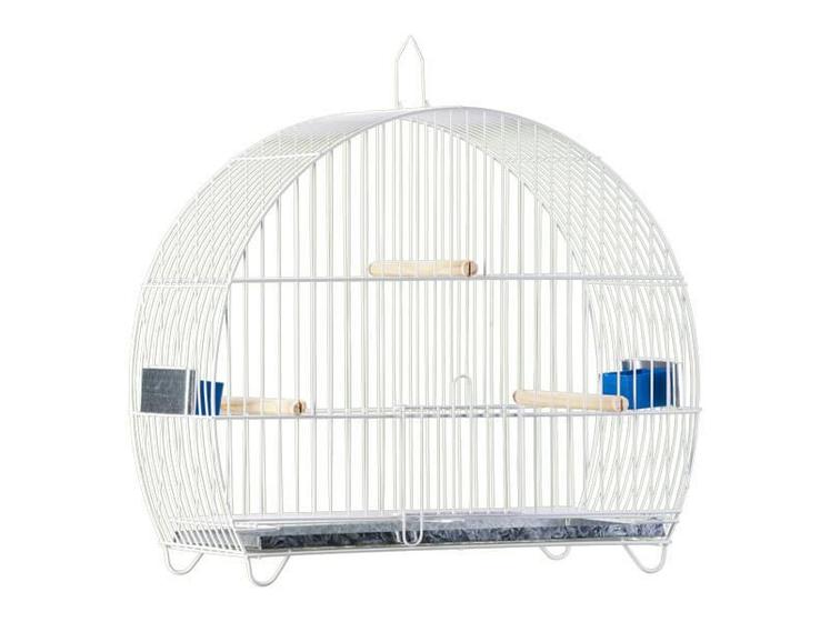 Gaiola Oval Para Canário - Prata - GaiolasﾠLondrina - Outros Pet Shop ...