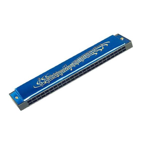 Gaita de Boca 24 vozes 48 furos Varias Cores DM Toys - Gaita - Magazine ...