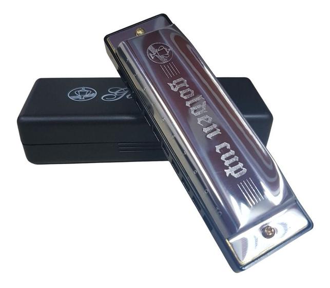 Gaita Harmônica Blues Iniciante Em Dó C 20 Vozes Diatônica - GAITA ...