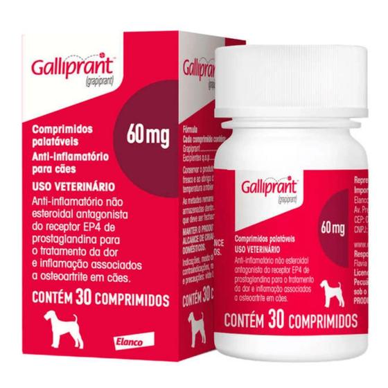 Galliprant 60 mg 30 Comprimidos - Elanco - Anti-Inflamátório - Magazine Luiza