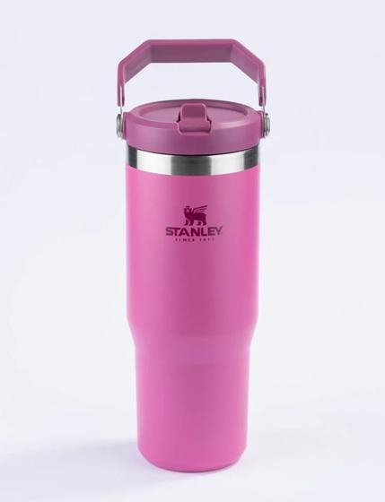 Garrafa térmica stanley 887ml - Garrafa Térmica - Magazine Luiza