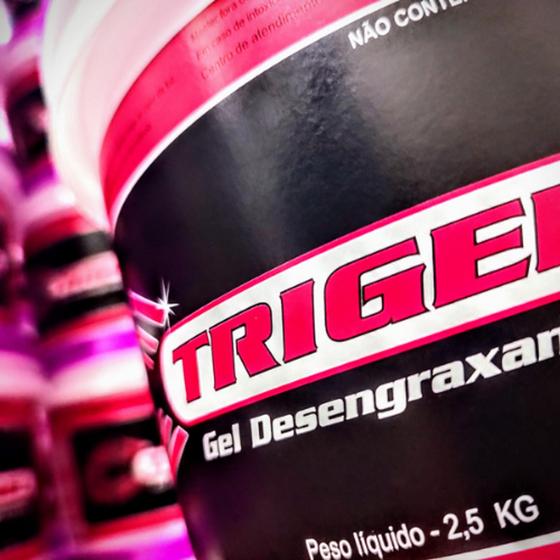 Gel Desengraxante Trigel- Loja Oficial - Produtos de Limpeza - Magazine ...