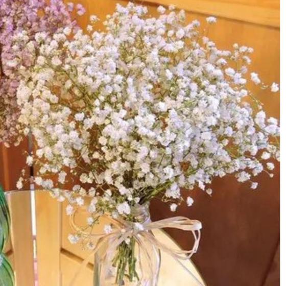 Gypso Natural Desidratado Buque Flores Secas - Decorar Arranjo ...