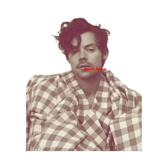 Harris Styles Impressão Em Tela Álbum De Música Fan Art Modern Home ...