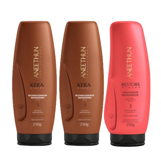 Kit 02 Recondicionador Kera + Finalizador Restore Aneethun - Kit de ...