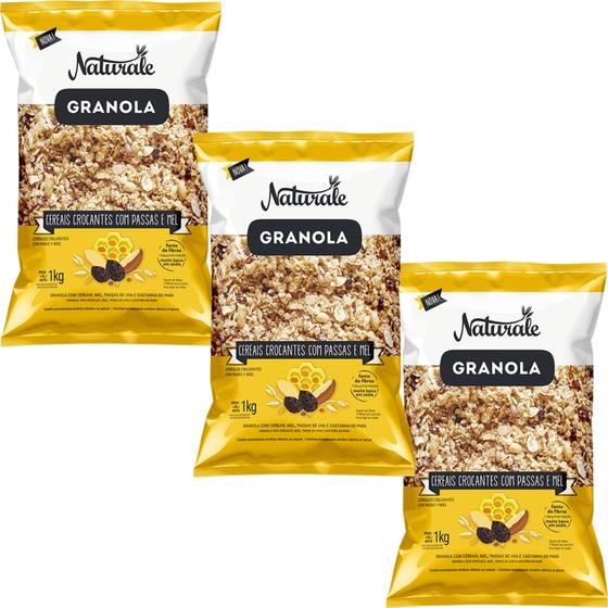 KIT 03X Granola Naturale 1KG Cereais Crocantes Passas e Mel Castanha do ...
