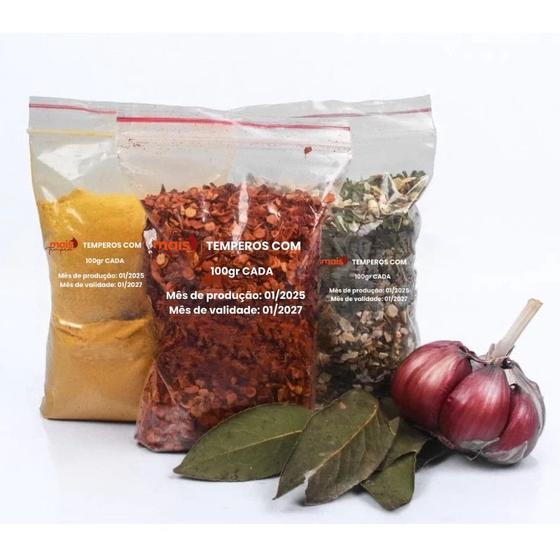 KIT 10 TEMPEROS 100g CADA! TOTAL DO ENVIO 1kg Muito Mais Tempero ...
