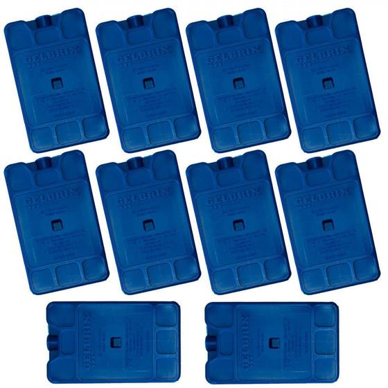 Kit 10 Unidades Gelo Artificial Reutilizavel 17x10 Cm Plastico ...