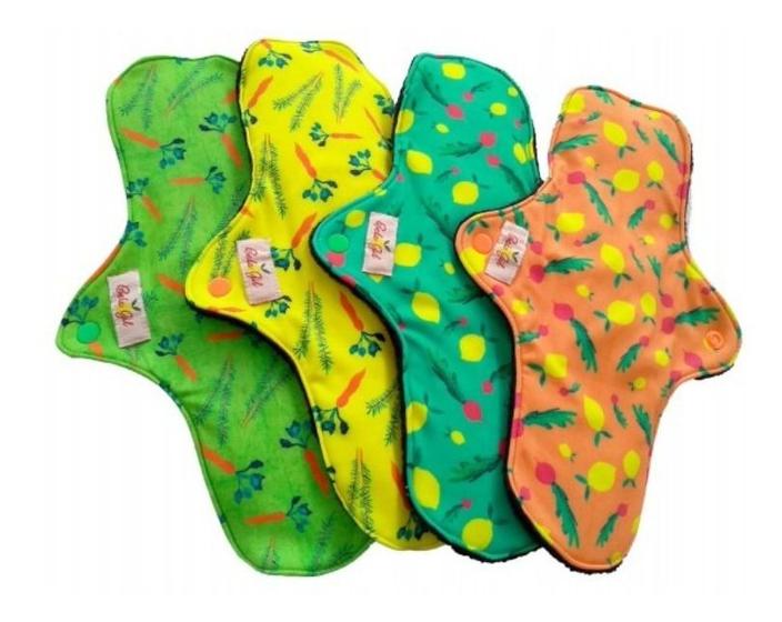 Kit 2 Absorventes Reutilizável Ecológico Bela Gil Ecoabs - Like Woman ...